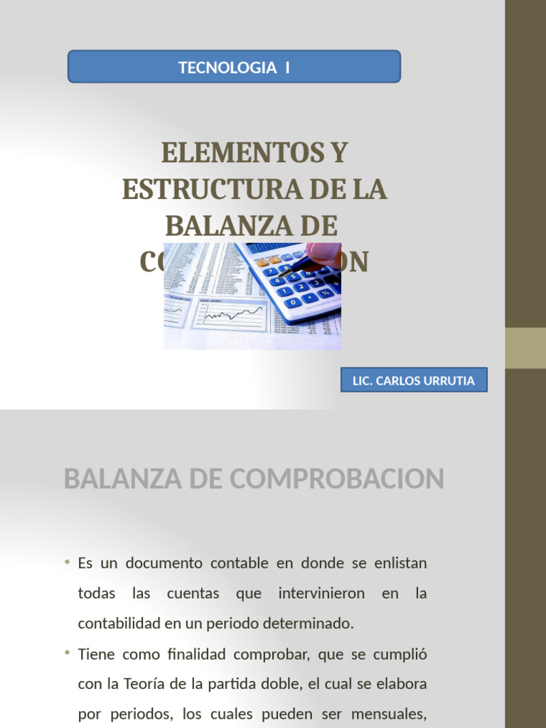 Elementos y Estructura de La Balanza | PDF | Contabilidad | Servicios financieros