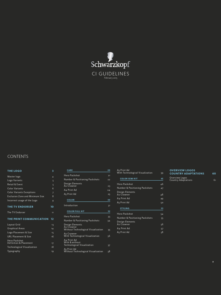 CI Guidelines for Logo and Print Usage | PDF | Logos | Page Layout