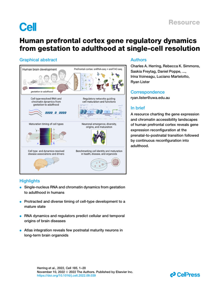 Human prefrontal cortex gene regulatory dynamics from gestation to adulthood at single-cell ...