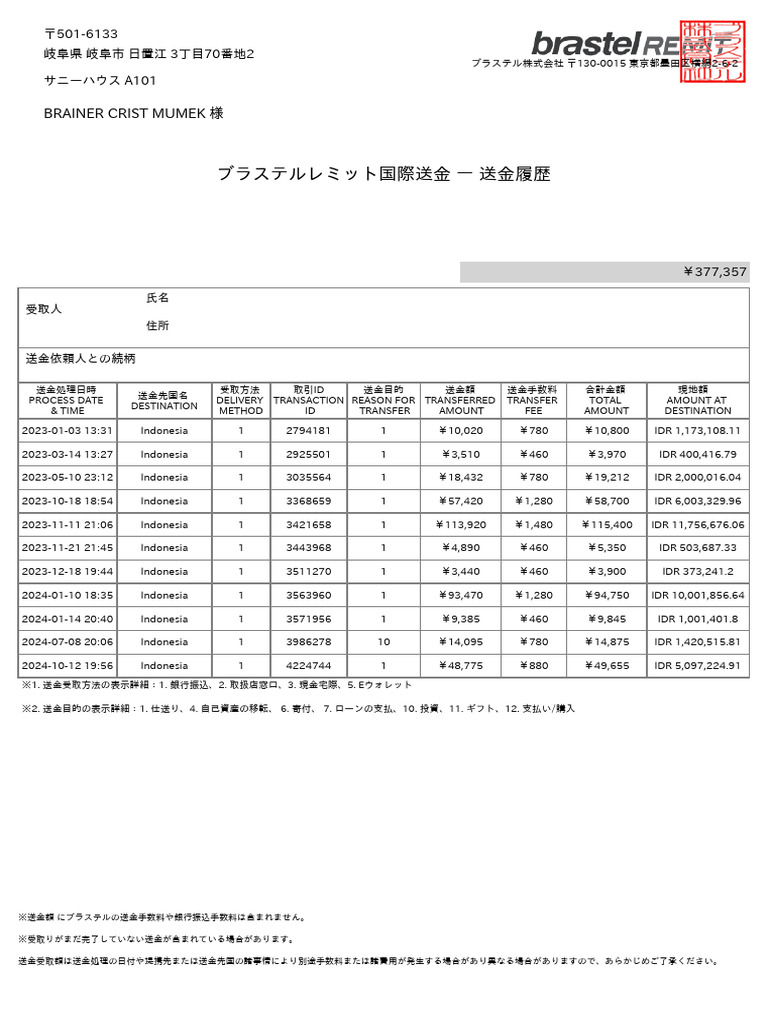 Remittance Statement 2024-11-19 | PDF