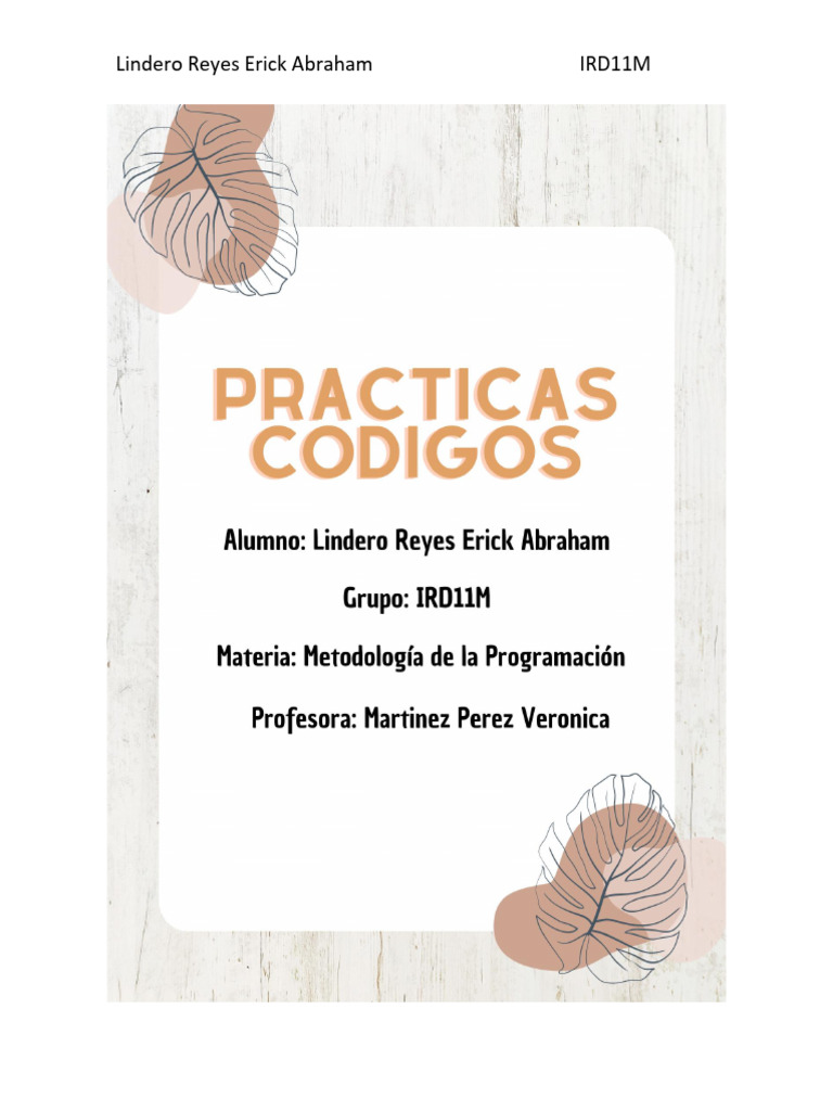 Guía de Operadores en Programación | PDF