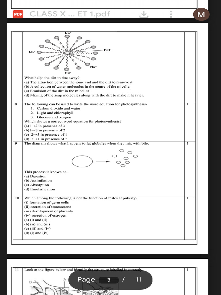 Science Quiz for Class X Students | PDF