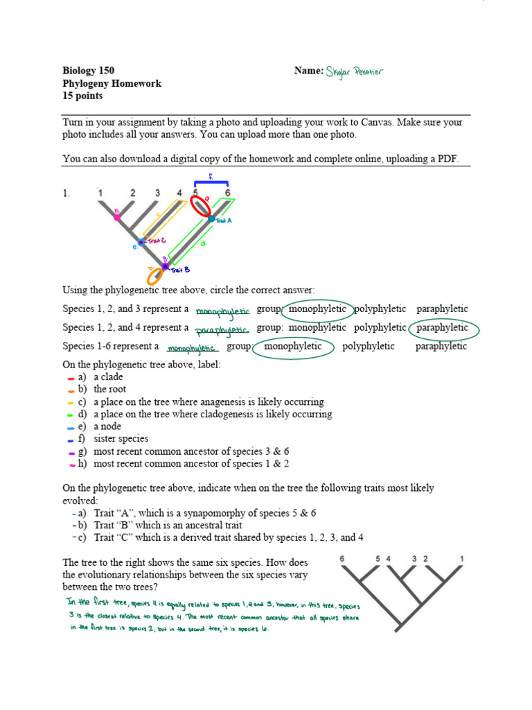 HW3-Phylogeny-Bio150 | PDF | Phylogenetic Tree | Phylogenetics