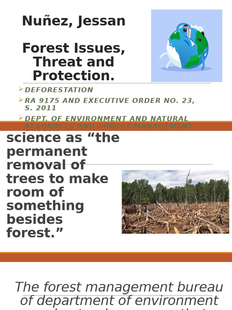 Philippines Forest Protection and Deforestation | PDF | Deforestation ...