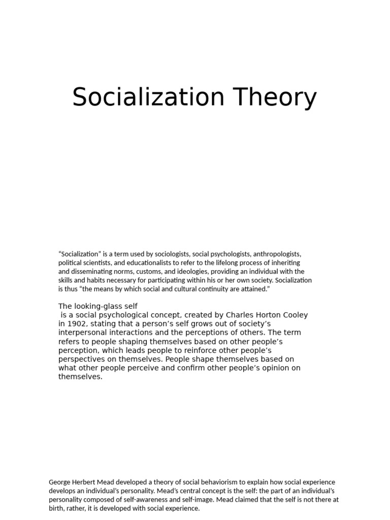 Socialization Theory | PDF