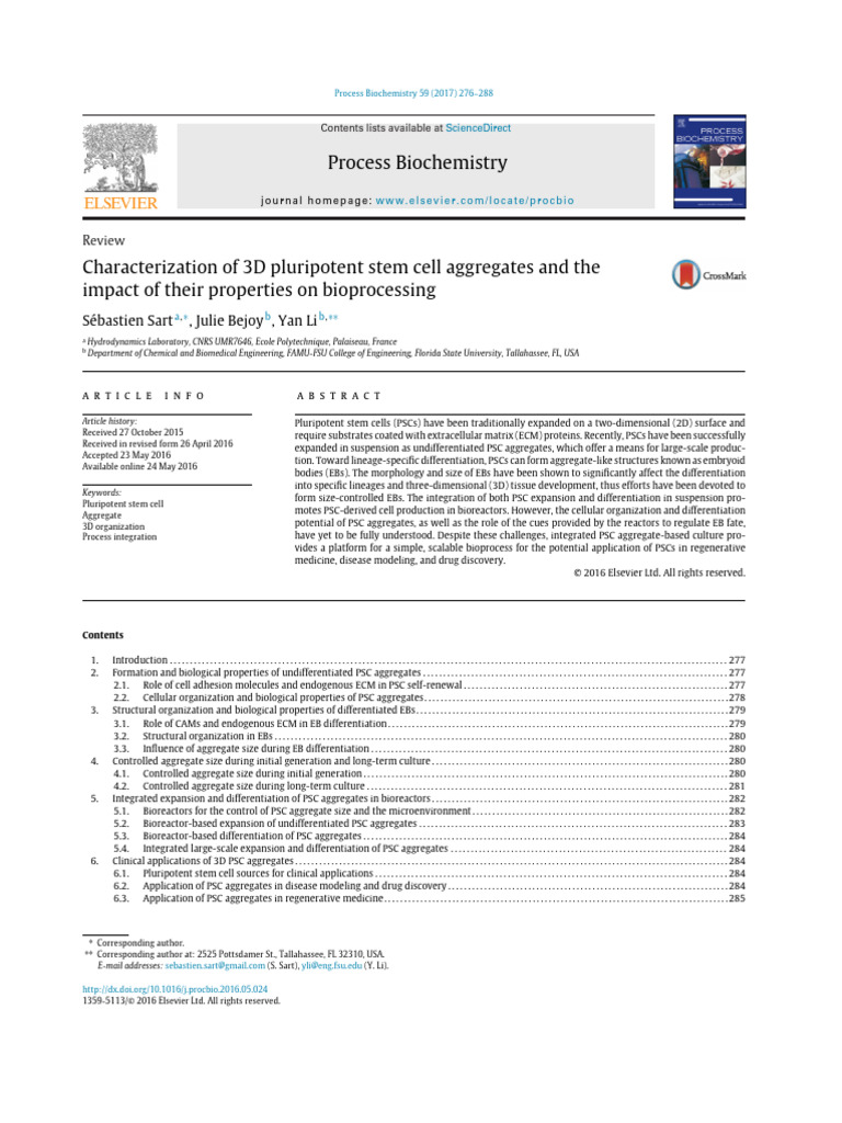 Characterization of 3D Pluripotent Stem Cell Aggregates | PDF ...