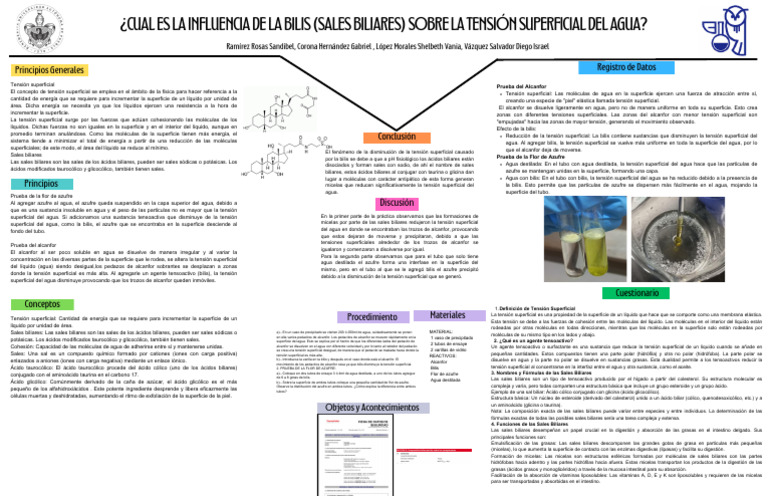Práctica 5. INFLUENCIA DE LA BILIS (SALES BILIARES) SOBRE LA TENSIÓN SUPERFICIAL DEL AGUA | PDF ...