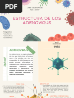 Fisiopatología de Las Infecciones Por Adenovirus | PDF | Adenoviridae | Nucleo celular