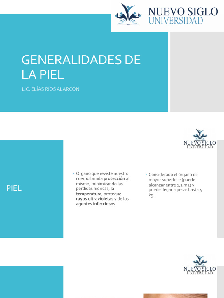 Generalidades de La Piel | PDF | Piel | Epidermis