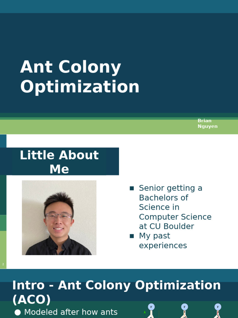 Ant Colony Optimization Pdf Computational Science Algorithms