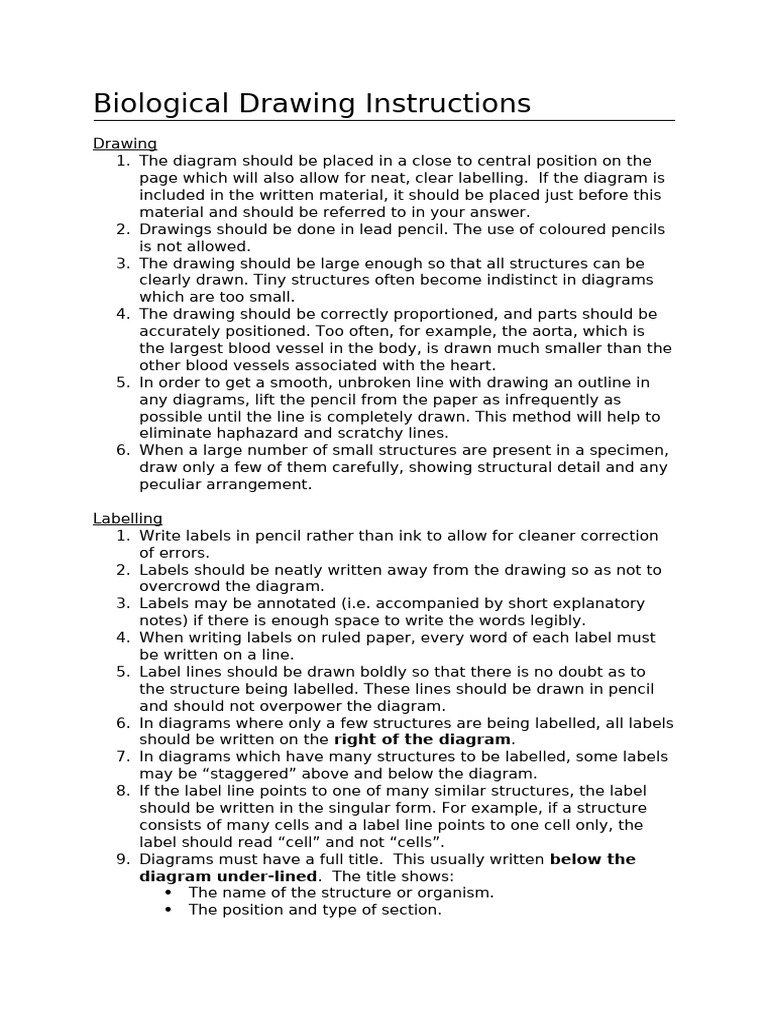 Plant Diversity (Biological Drawings) Lab Manual | PDF | Drawing | Aorta