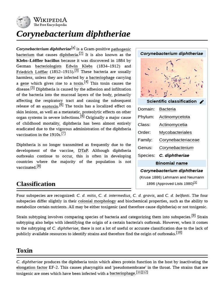 Corynebacterium Diphtheriae | PDF | Microbiology | Immunology