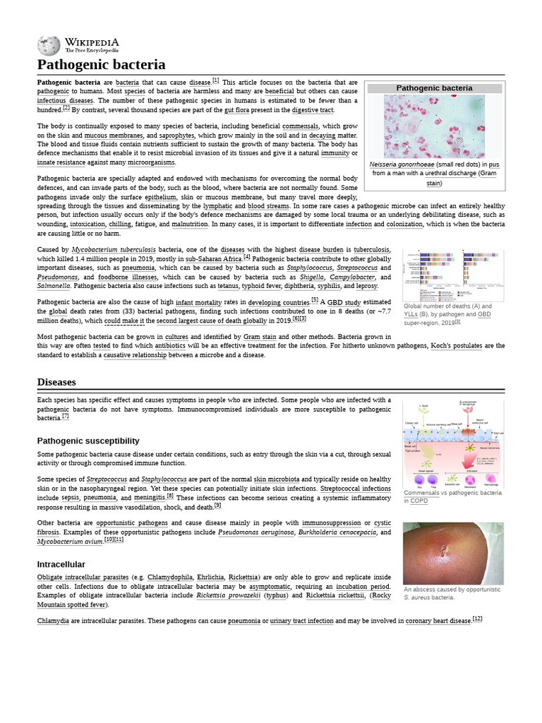 Pathogenic Bacteria | PDF | Bacteria | Infection