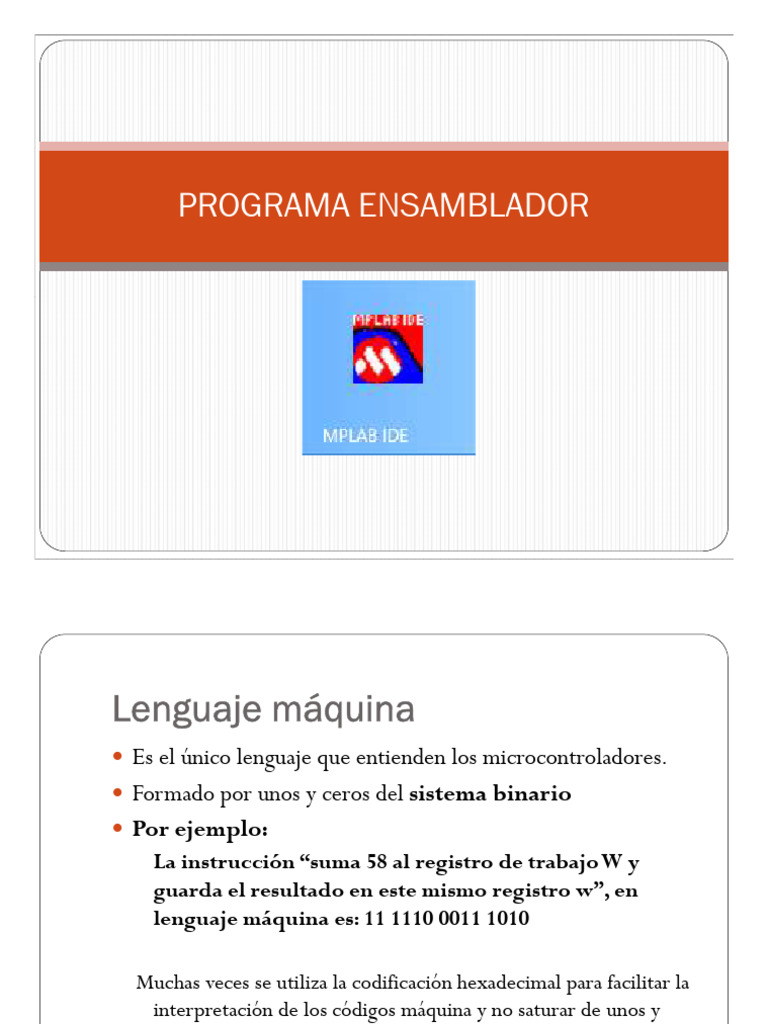Programa Ensamblador | PDF | Lenguaje ensamblador | Programación
