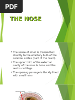 Medical Rebus Puzzles | PDF