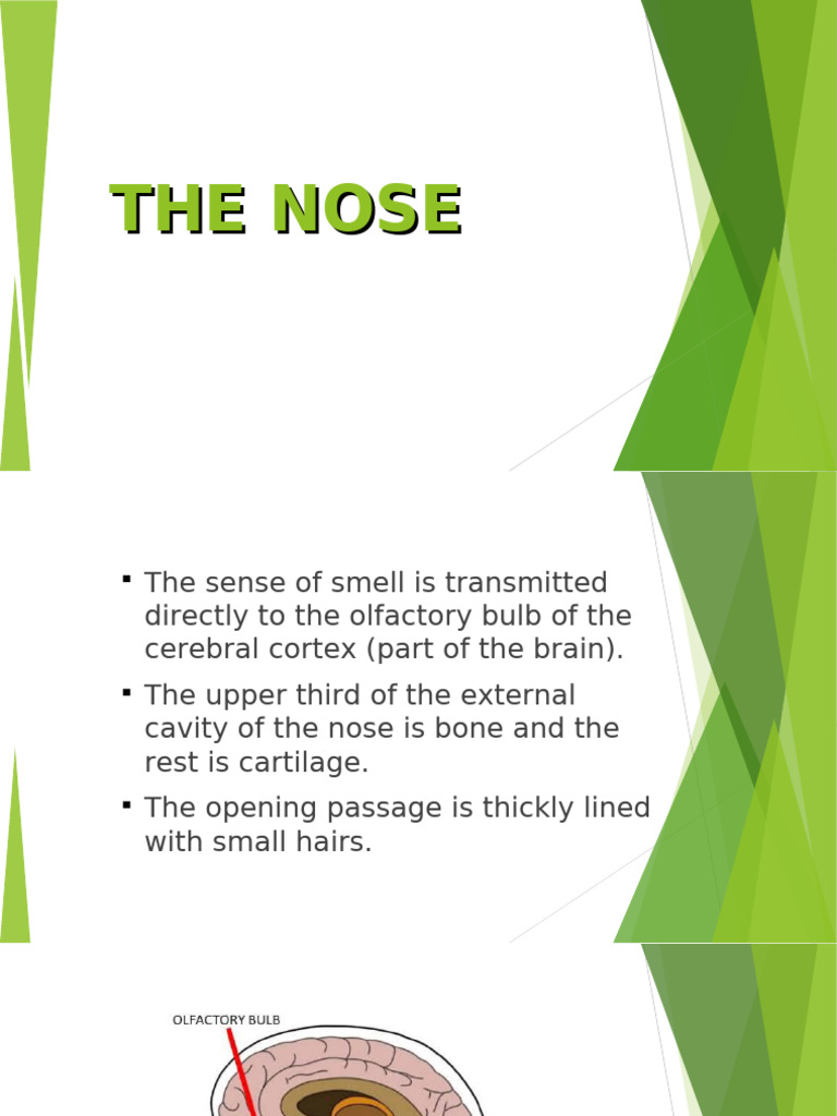 The Nose | PDF