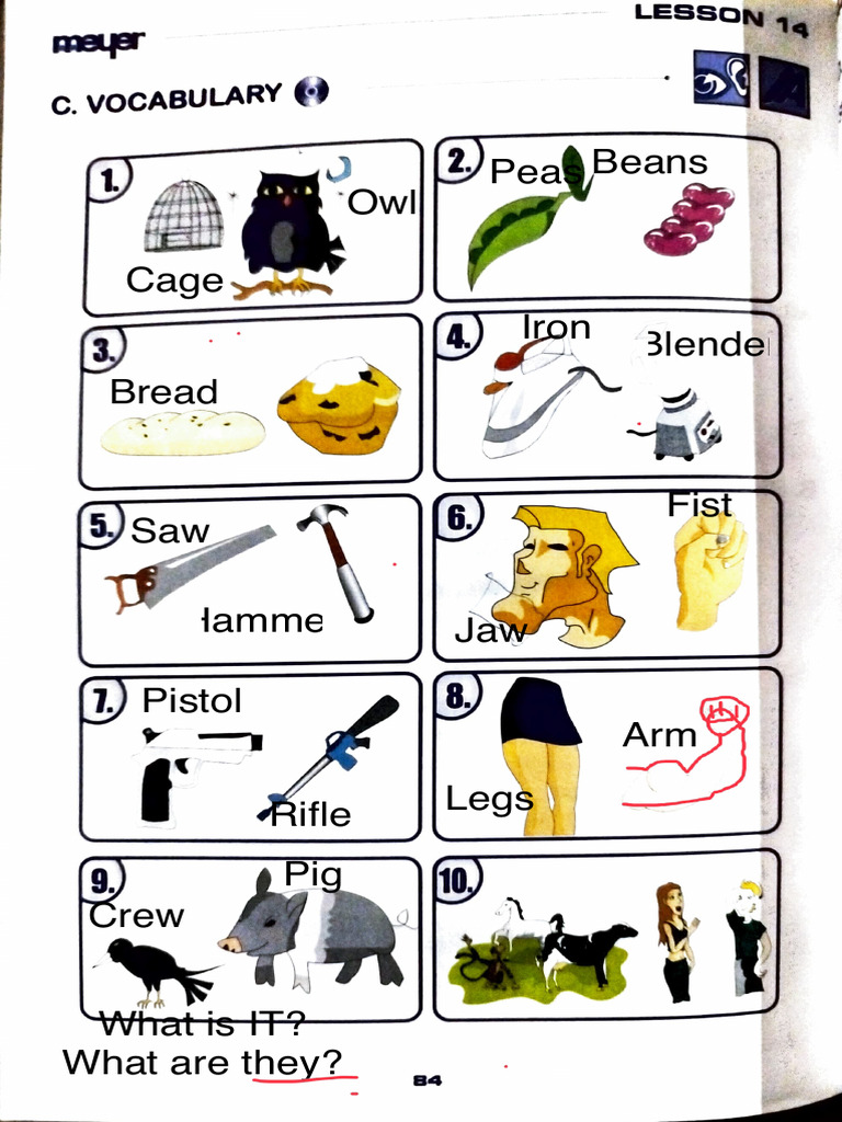 Beginner English Lessons | PDF | Question | Syntax