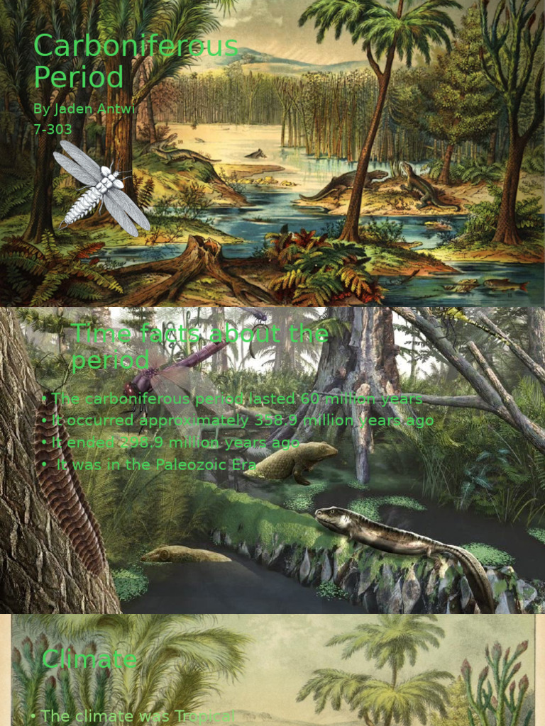 Overview of the Carboniferous Period | PDF