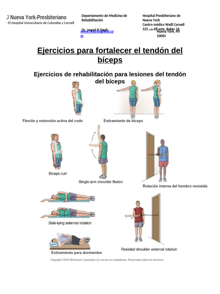 Ejercicios de Fortalecimiento Del Tendón Del Bíceps | PDF | Codo | Sistema musculoesquelético