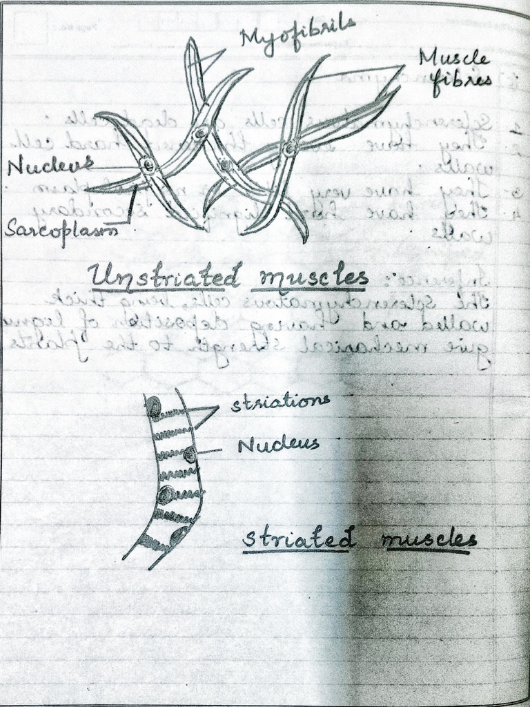 Bio Record Grade 9 | PDF