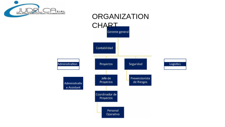 4.1.1. Judelca EIRL Organizational Chart 2020 | PDF