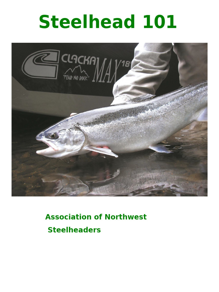 Steelhead Fishing Guide: Tips & Techniques | PDF | Fishing Rod ...