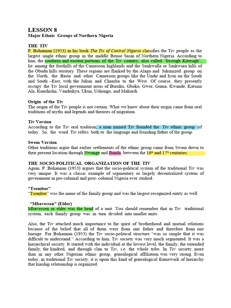 Gst 113 Lesson 8 | PDF | Ethnicity