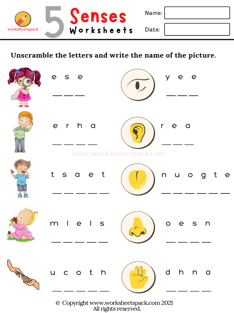The 5 Senses Worksheets Unscramble The Letters | PDF