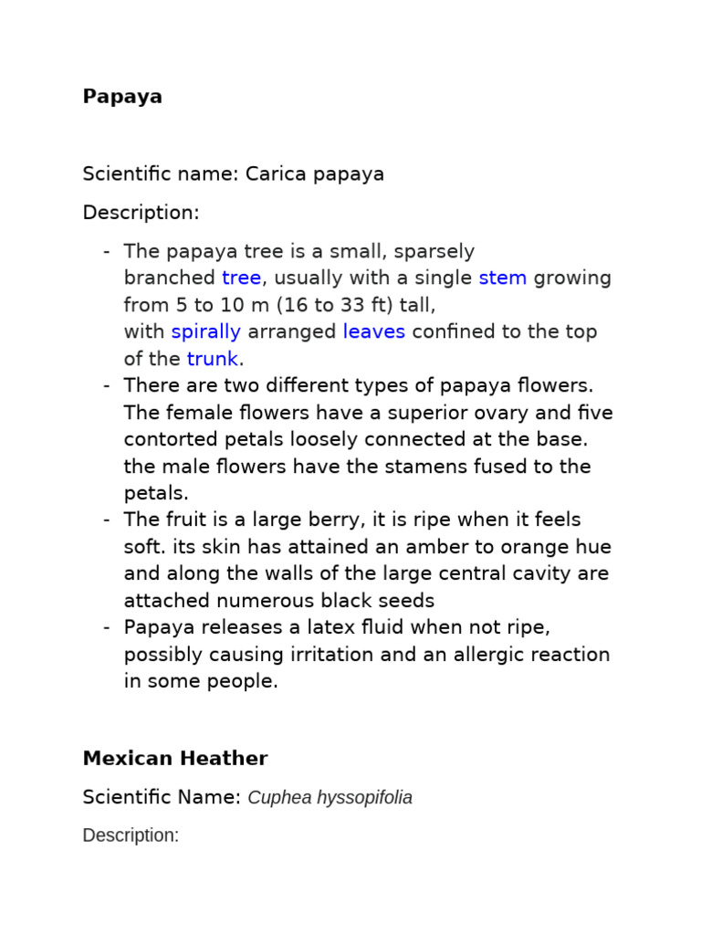 Papaya | PDF