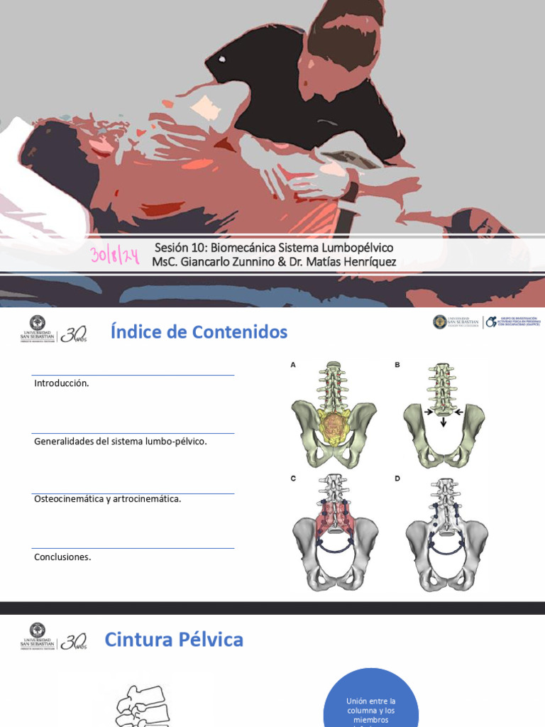 10 Lumbo Pelvis | PDF | Pelvis | La columna vertebral