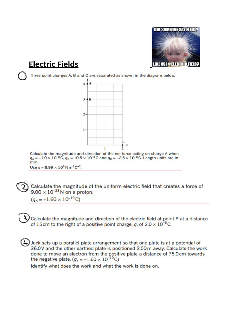 Electric Fields | PDF