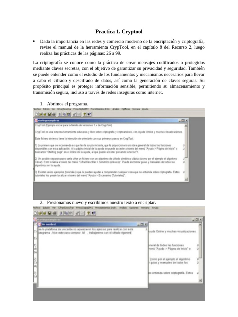 Guerrero Sebastián Practica 1 Cryptool | PDF