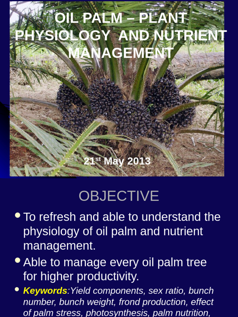 21st May PRESENT - OIL PALM - PLANT PHYSIOLOGY AND NUTRIENT MANAGEMENT ...