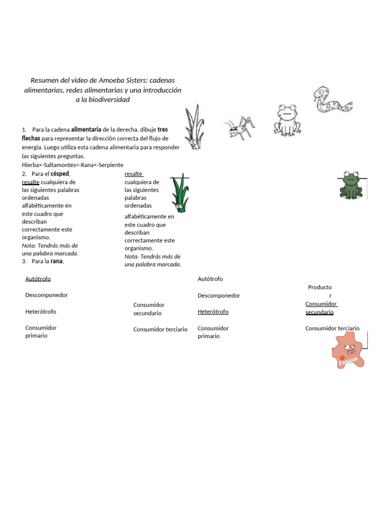 Copia de AS Redes Alimentarias | PDF | Red alimentaria | Ecología