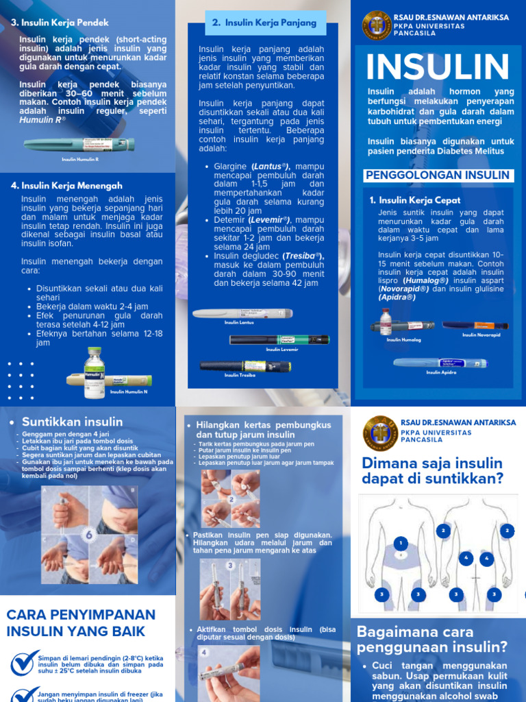 Leafleat Insulin | PDF