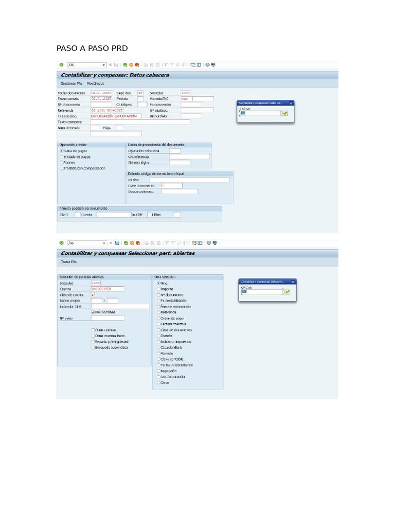 PASO A PASO PRD_1 | PDF