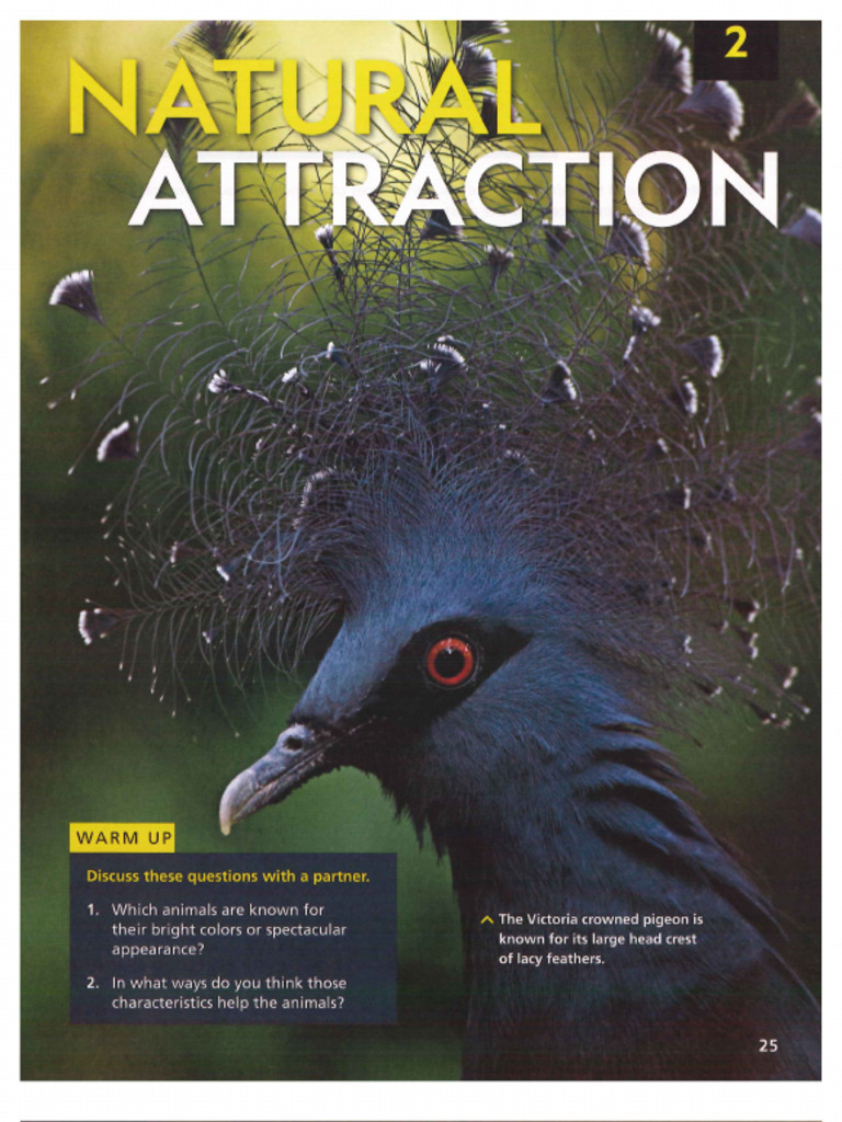 Reading English | PDF