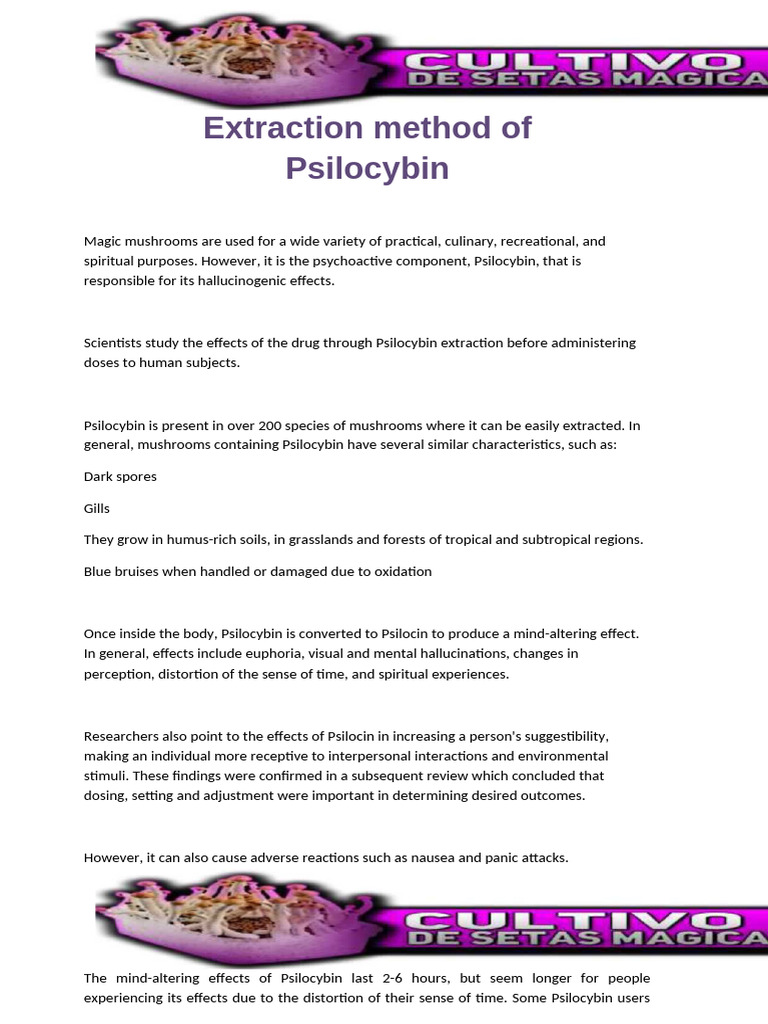 Method of Extraction of Psilocybin | PDF | Psilocybin | Psychoactive Drugs