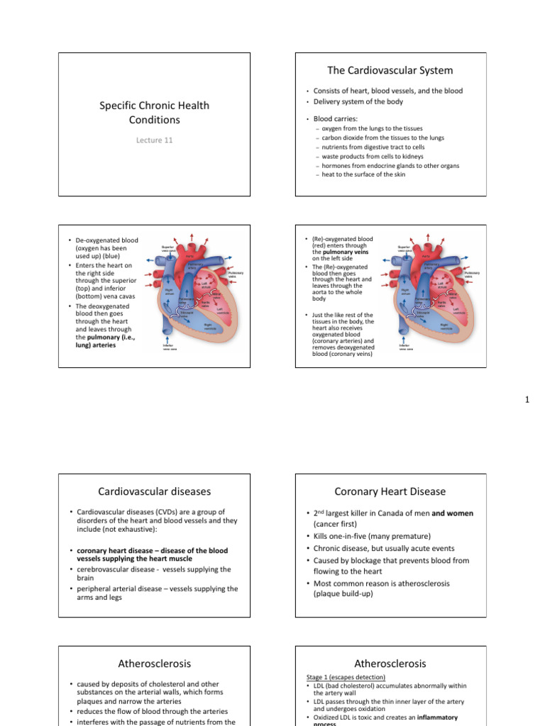 Understanding Cardiovascular Diseases | PDF | Cancer | Stroke