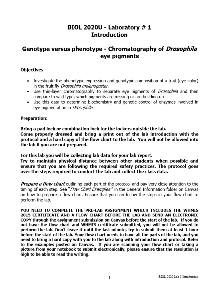 lab 1 Introduction 2025 | PDF | Thin Layer Chromatography | Biology lab 1 Introduction 2025 | PDF | Thin Layer Chromatography | Biology
