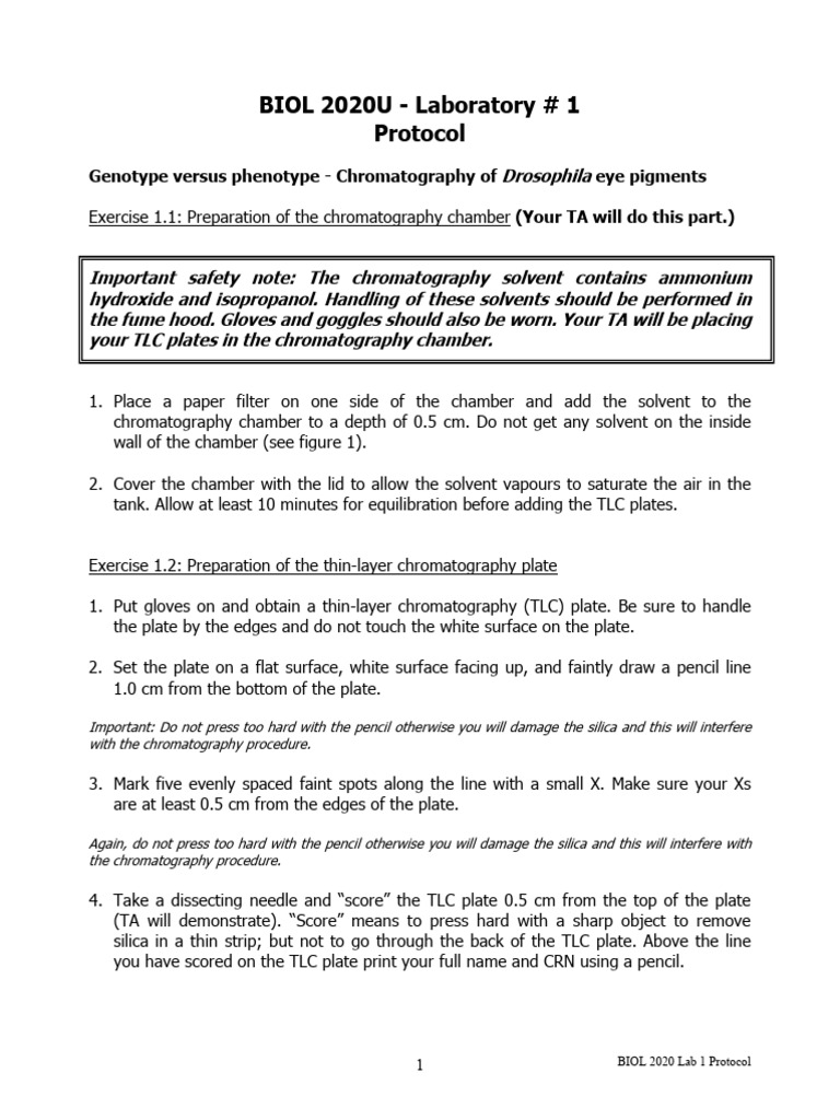 Lab 1 Protocol 2025 | PDF | Thin Layer Chromatography | Chromatography