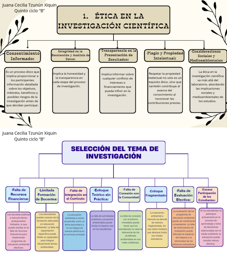 Mapas Cognitivos de Cajas. | PDF | Plan de estudios | Entorno natural