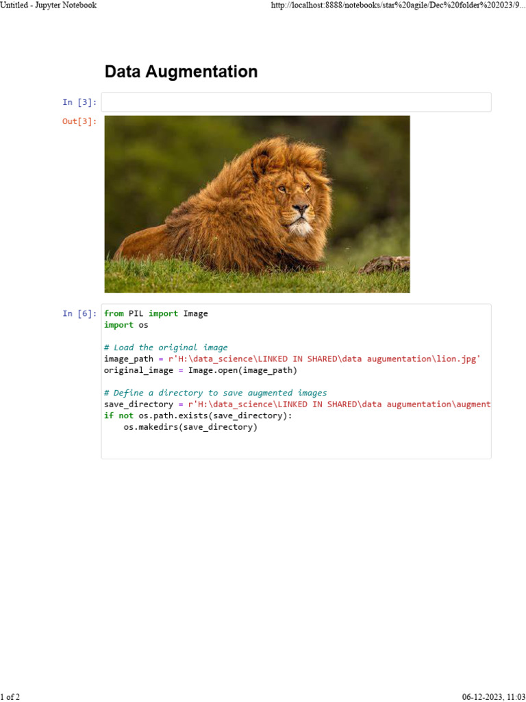 Data Augmentation | PDF | Information And Communications Technology | Computer Vision