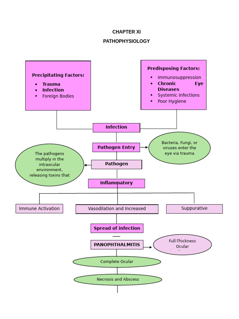 Pathophysiology of Panophthalmitis | PDF | Infection | Inflammation