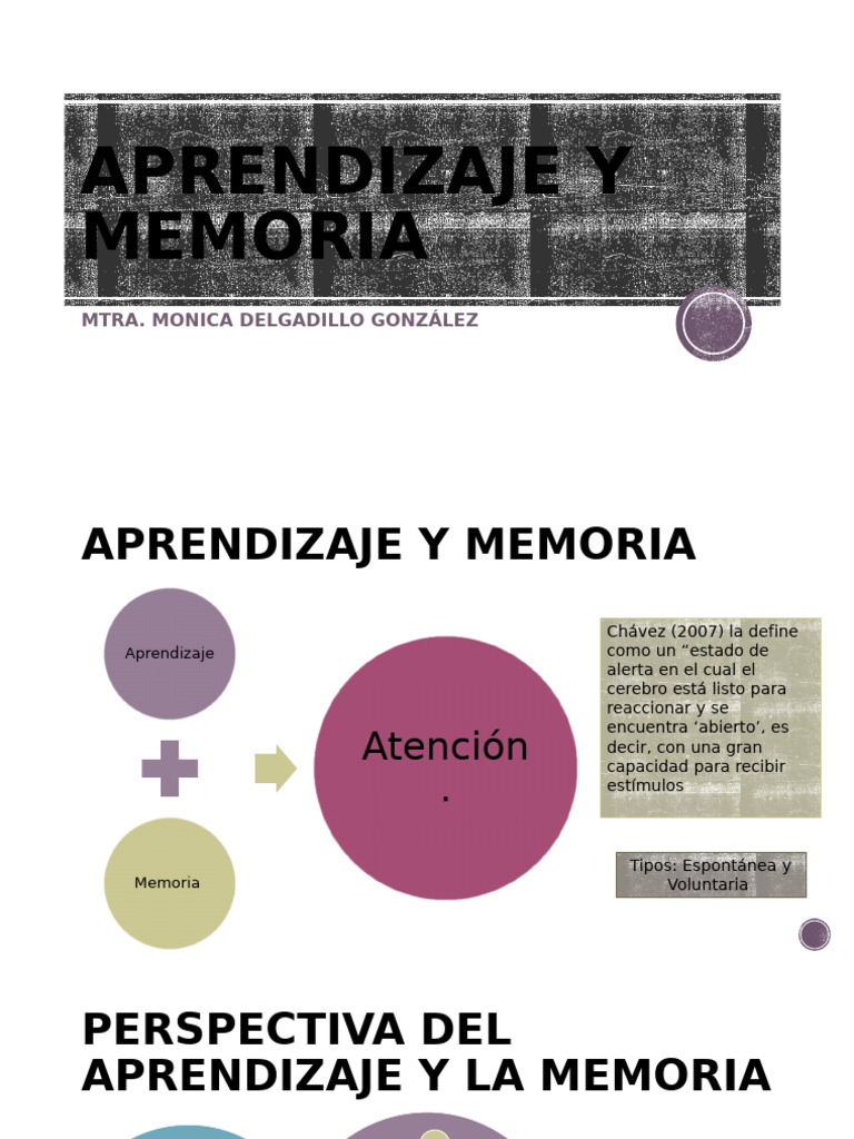 Aprendizaje Y Memoria Condicionamiento Clásico Y Operante Pdf