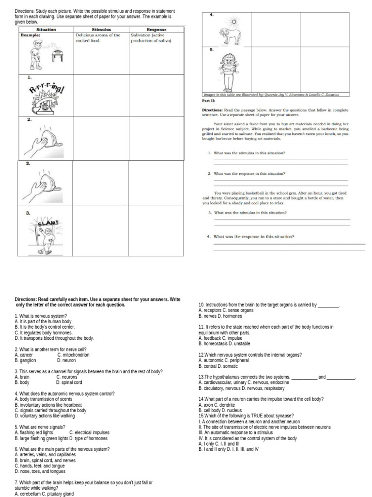 GRADE 10 - ENDOCRINE SYSTEM Activity | PDF | Nervous System | Neuron
