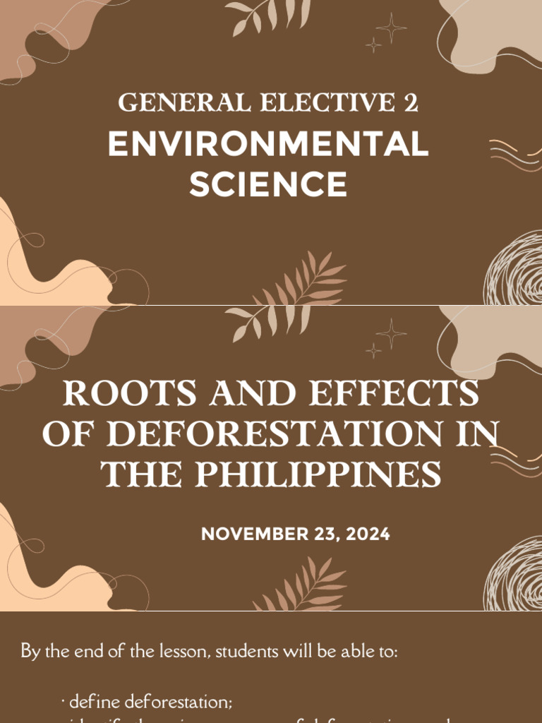 Rots and Effects of Deforestation | PDF | Deforestation | Forests