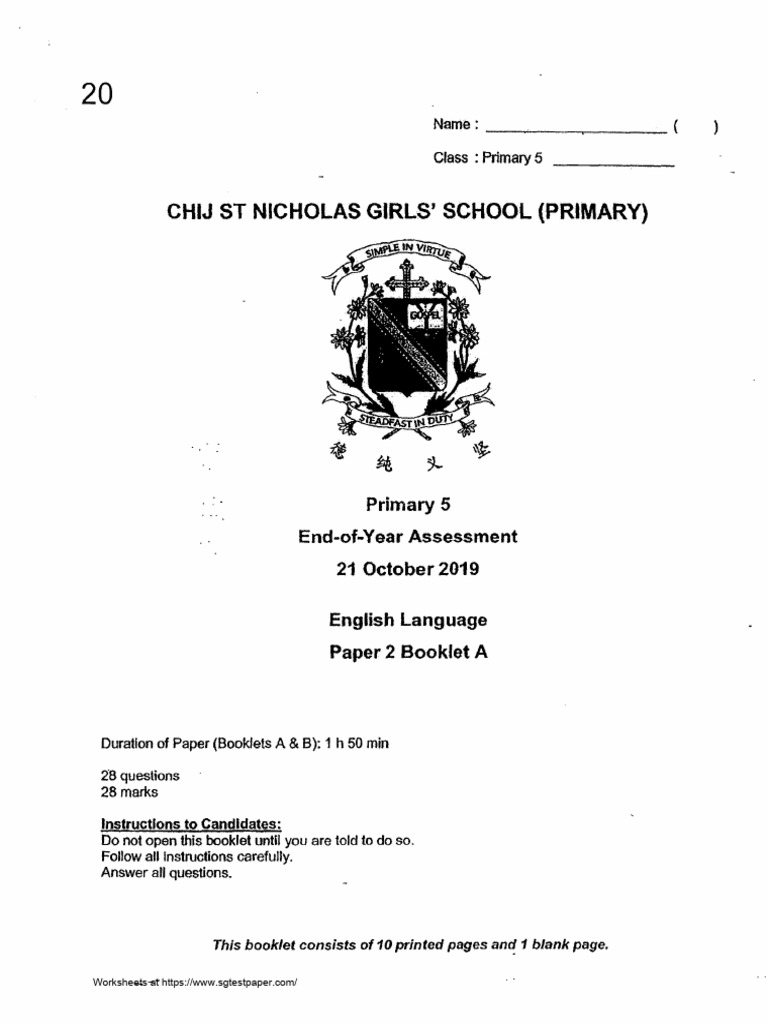 P5 English SA2 2019 ST Nicholas Exam Papers | PDF