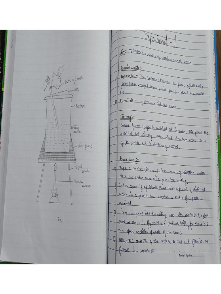 Investigatory Project File | PDF