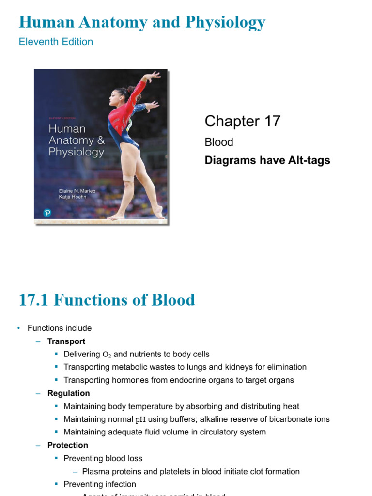 Module 1 Chapter 17 Blood | PDF | Anemia | Red Blood Cell